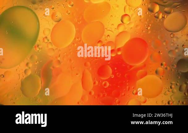 Colorful oil droplets close Stock Videos & Footage - HD and 4K Video ...