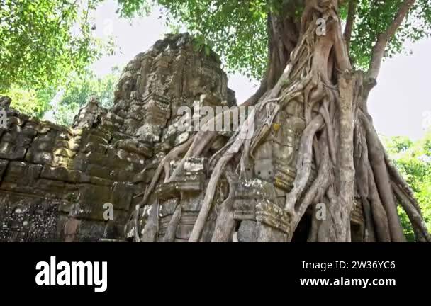 4K, Ta Som gopura, door with strangler fig. Famous spung tree growing ...