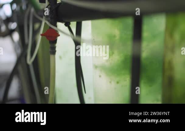 Different types science containers Stock Videos & Footage - HD and 4K ...