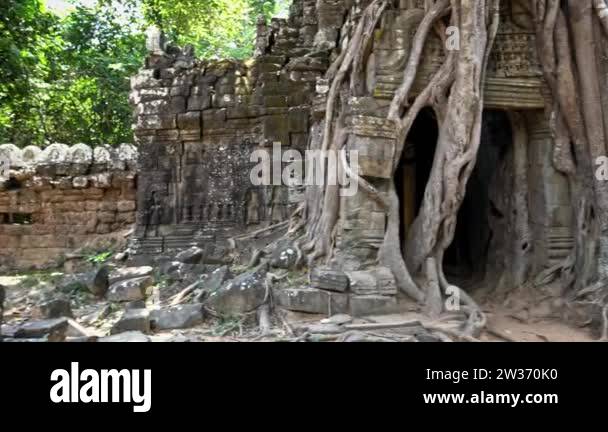 4K, Ta Som gopura, door with strangler fig. Famous spung tree growing ...