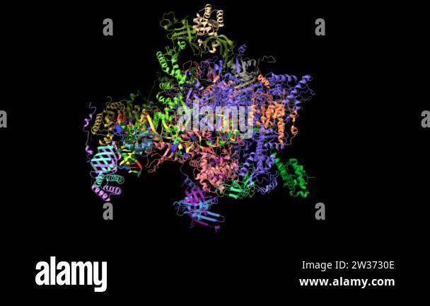 Transcription bubble structure Stock Videos & Footage - HD and 4K Video ...