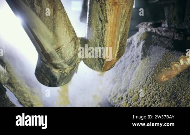 Sugar beet plant. Sugar production. White powder is poured from the ...