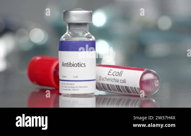 Antibiotics and Escherichia coli e.coli vial in medial lab slowly ...