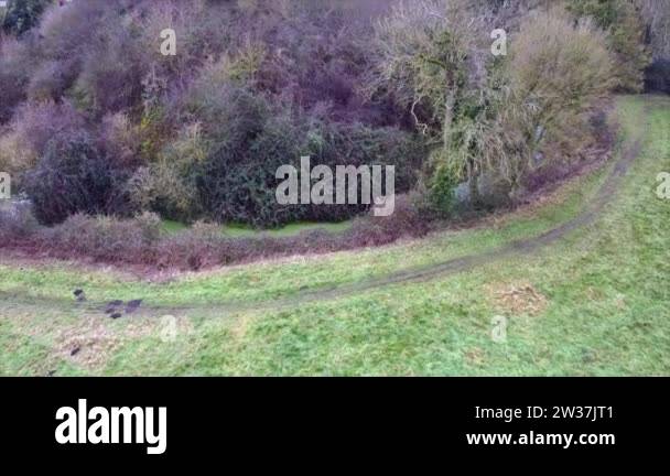 Motte and bailey fort Stock Videos & Footage - HD and 4K Video Clips ...