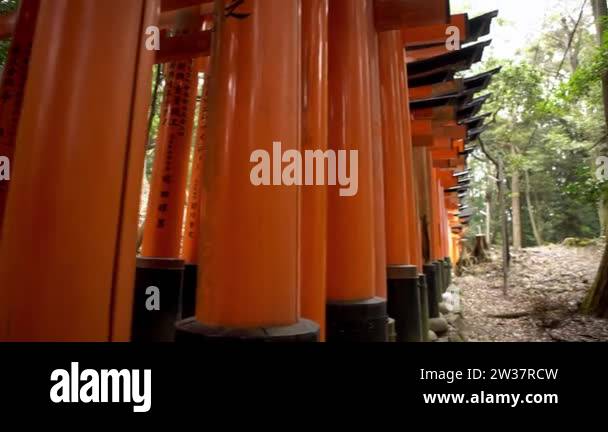 4K, Beautiful red Tori Gate at famous Fushimi Inari-Taisha shrine in ...