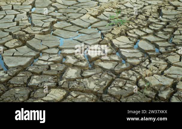 Drought cracked pond wetland, swamp very drying up clay soil crust ...