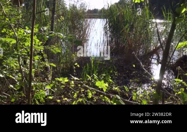 Brooding water Stock Videos & Footage - HD and 4K Video Clips - Alamy