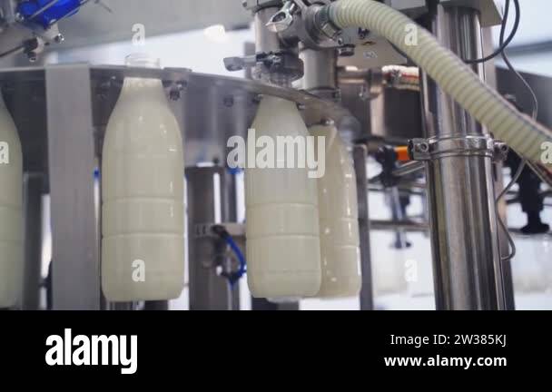 Upgraded technology in dairy factory. Plastic bottles filling with milk ...