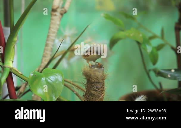 Clever you Stock Videos & Footage - HD and 4K Video Clips - Alamy