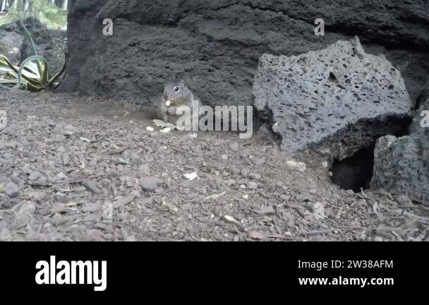 Vesicular rocks Stock Videos & Footage - HD and 4K Video Clips - Alamy