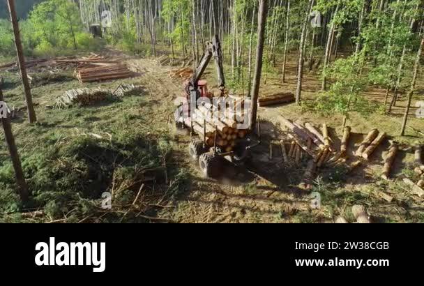 Timber loading, loading logs into a truck, timber processing ...