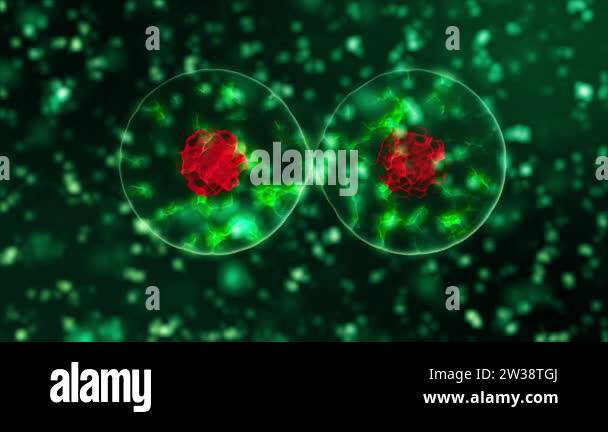 Abstract 3d model of coronavirus 2019-nCoV pathogen cells in infected ...