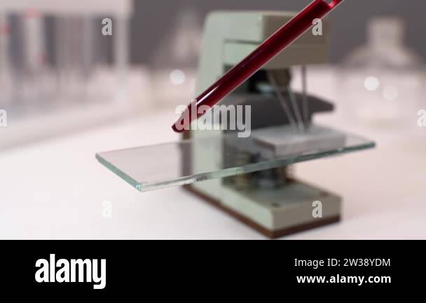 Close-up footage of scientist adding blood from test tube on glass ...