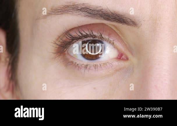Beautiful human eye close-up. Young Woman brown one eye. Macro Closeup ...