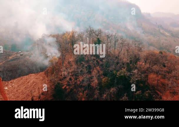 Smog of forest fires. Deforestation and Climate crisis. Toxic haze from ...