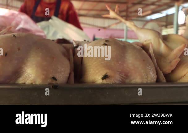 Raw meat hygiene Stock Videos & Footage - HD and 4K Video Clips - Alamy