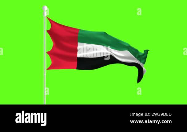 United Arab Emirates Flag Waving and Fluttering in front of a green ...