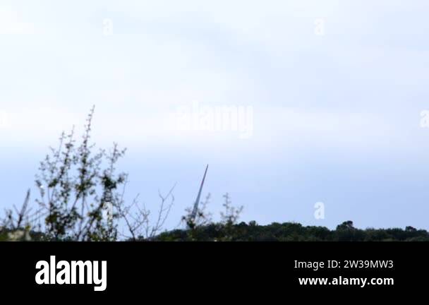 Propeller tree Stock Videos & Footage - HD and 4K Video Clips - Alamy