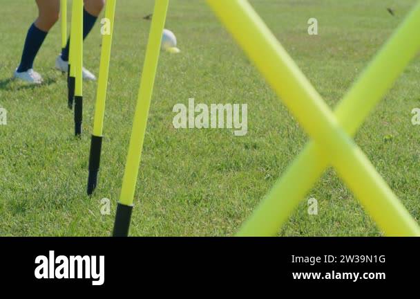 Soccer agility training equipment. Professional football young woman ...
