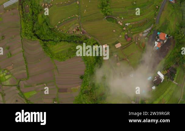 Top down view farm Stock Videos & Footage - HD and 4K Video Clips - Alamy