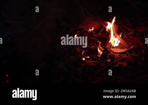 Coconut Leaf Fire flames on a black background. Blaze fire flame ...