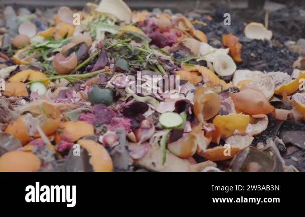 Compost pile of food waste for fertilizing vegetable garden soil Stock ...