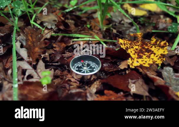 National Park Compass Stock Videos And Footage Hd And 4k Video Clips Alamy