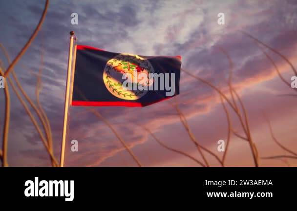 Belize sunrise flag waving dramatic video. Belizean flagpole shows ...