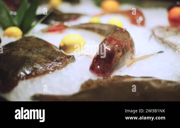 Fresh fish lying on the ice. Fish Market. Fish restaurant. Raw seafood ...