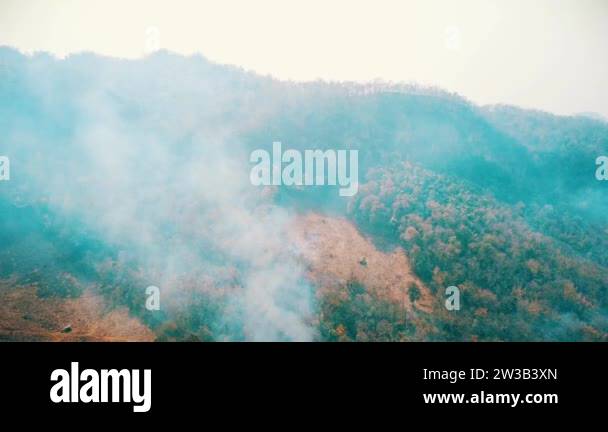 Smog of bushfire fires. Deforestation and Climate crisis. Toxic haze ...