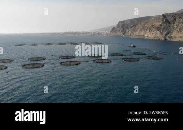 Real time drone aerial video oysters and mussels farm, method of net ...