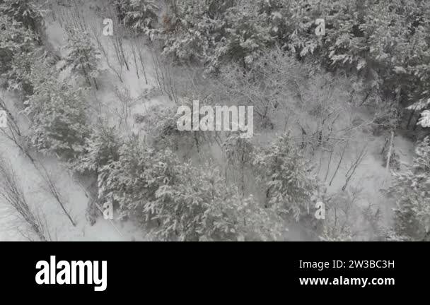 Mountain snow aerial Stock Videos & Footage - HD and 4K Video Clips - Alamy