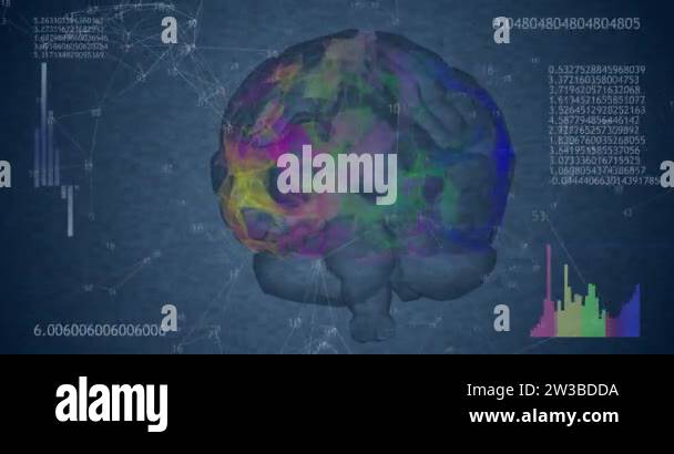 Rotating 360 low polygonal brain 3D model on blue background with ...