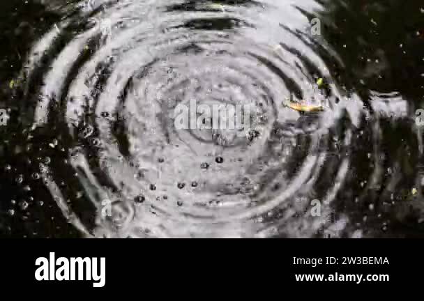 Capillary waves Stock Videos & Footage - HD and 4K Video Clips - Alamy