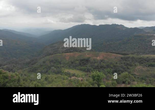 Unique aerial view of tea plantation on hill and tea pickers village on ...