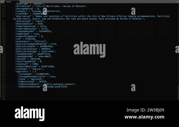 Json Programming Language Source Code Typing Effect Json Programmer Ticker Colored Commands