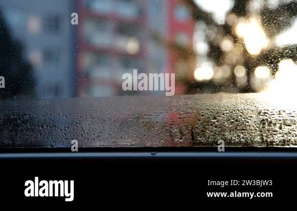Cold humidity Stock Videos & Footage - HD and 4K Video Clips - Alamy