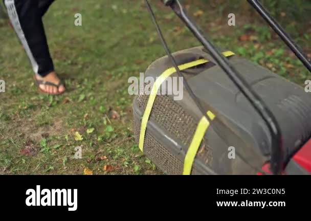 Working process of lawn mower outdoors. Woman cutting garden lawn with ...