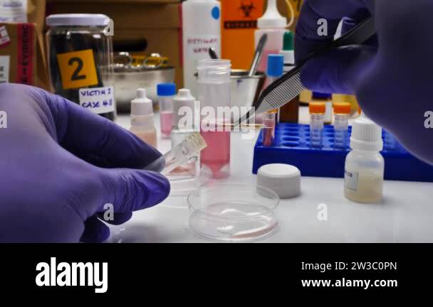 Forensic blood analysis lab Stock Videos & Footage - HD and 4K Video ...
