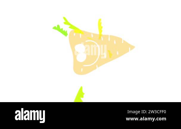 Linear Bounce And Spin Animation Of Happy Carrot Harvested To Make ...