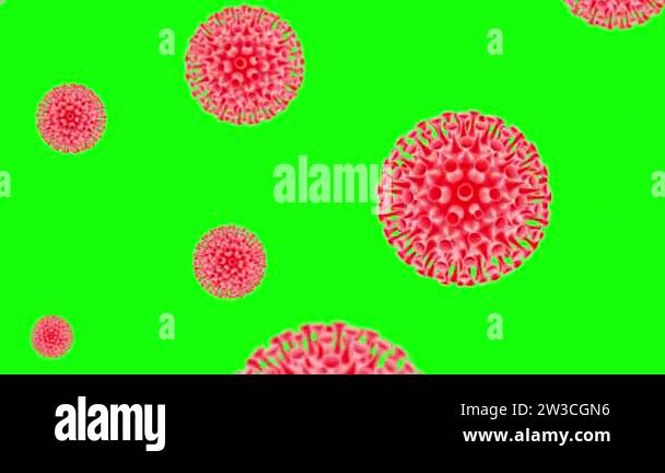 Loop Animated Virus, red 3d model on Chroma key background with small ...