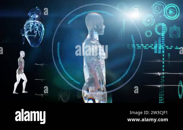 medical Interface, analysis of Human Male Anatomy Scan on Futuristic Touch Screen Interface ...