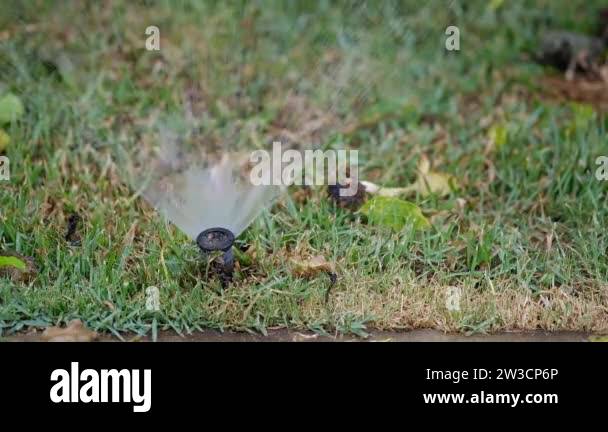 Sprinkler water system used for watering plant in the garden ...