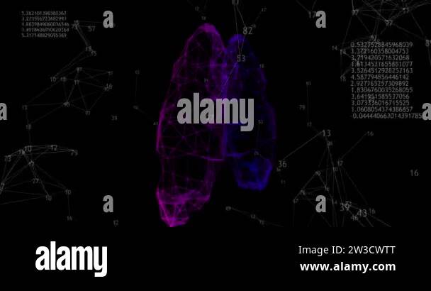 Rotating 360 low polygonal lungs 3D model on black background with ...