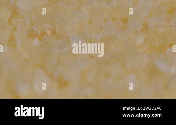 Tiny beetles in semolina. Macro footage with insects in food Stock ...