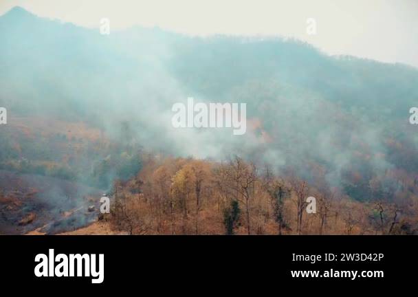 Smog of forest fires. Deforestation and Climate crisis in Asia. Toxic ...