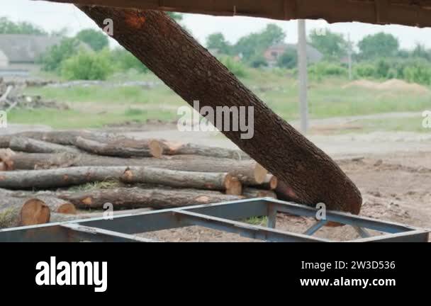 Loading big timber pine, spruce, cedar logs by crane grab loader ...