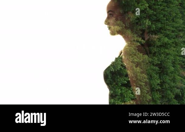 Woman trees silhouette Stock Videos & Footage - HD and 4K Video Clips ...