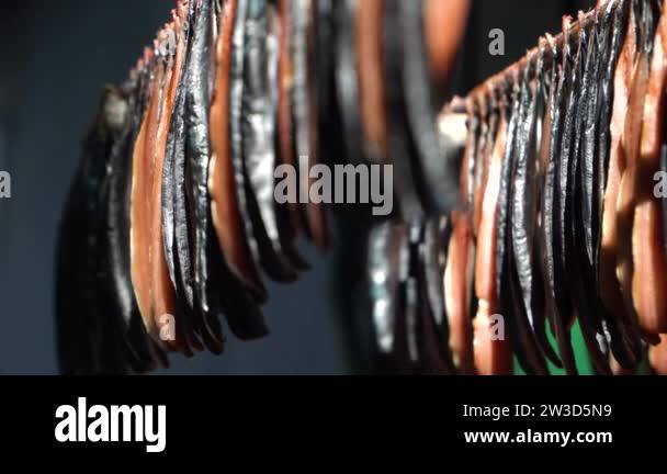 Pohang special product of Korea (Gwamegi) (dried Saury). Guryongpo is ...