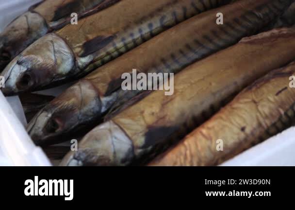 Dried plaice Stock Videos & Footage - HD and 4K Video Clips - Alamy